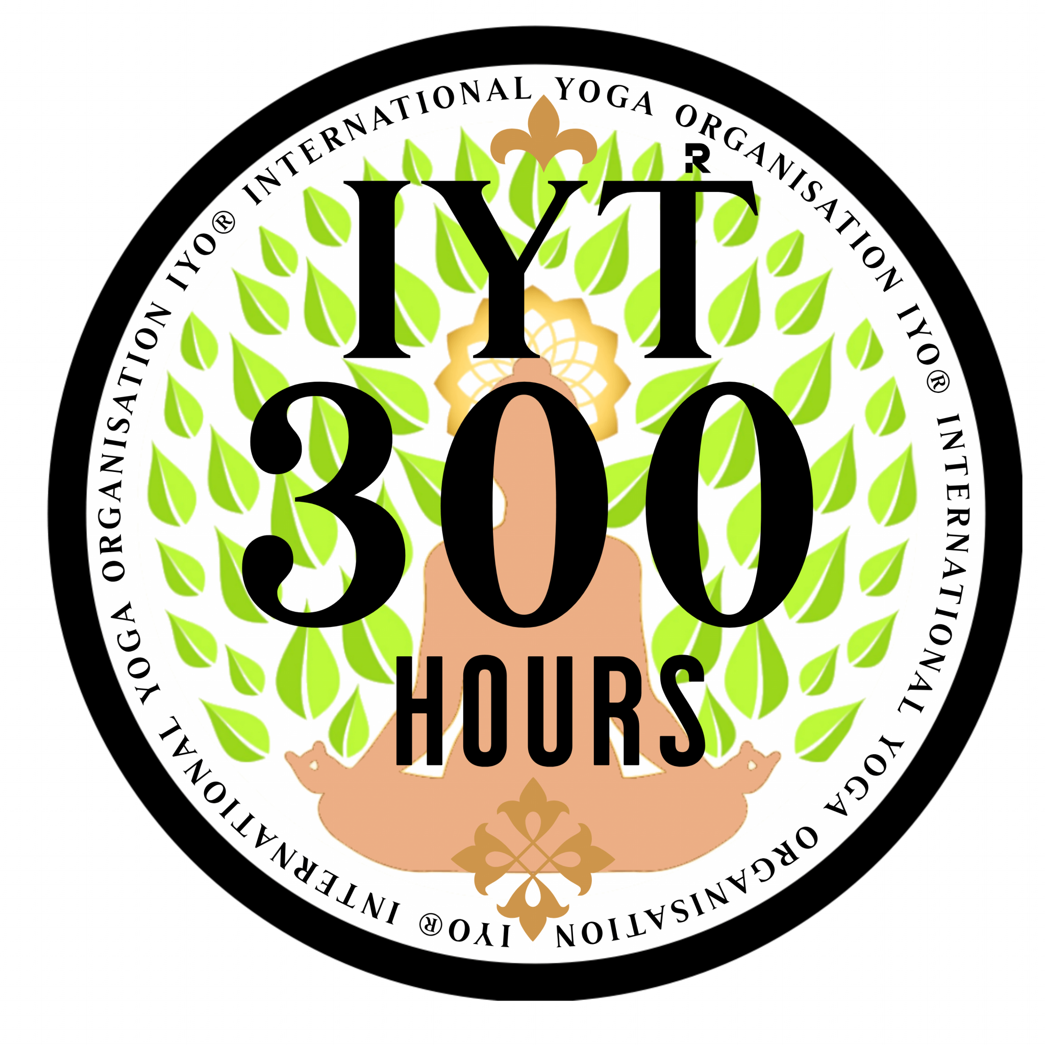 IYT® International Yoga Teacher 300 Hours - Kayakalp The Academy Of Yoga